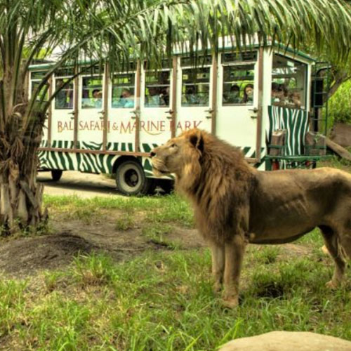 Home - Golden Bali Tour